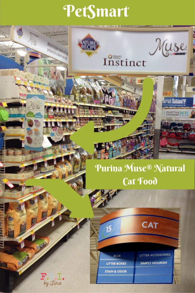 DIY Halloween Cat Placemat