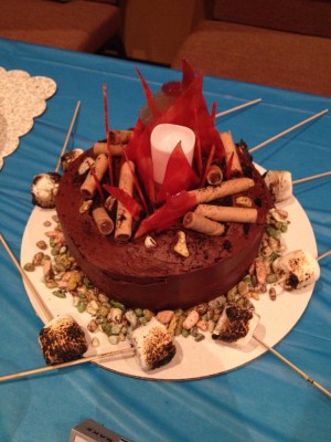 17 Cub Scout Cake Ideas - FYI by Tina